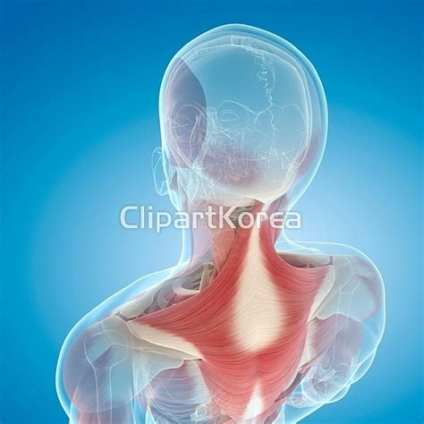 해외작가포토 클립아트코리아 통로이미지 주