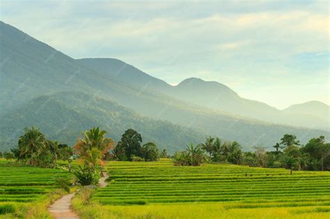 Village Scenery