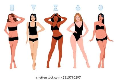 Hip To Waist Ratio Attractiveness
