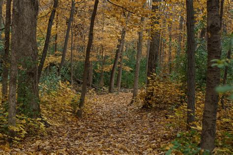 The Park Next Door 30 Easy Scenic Nature Walks