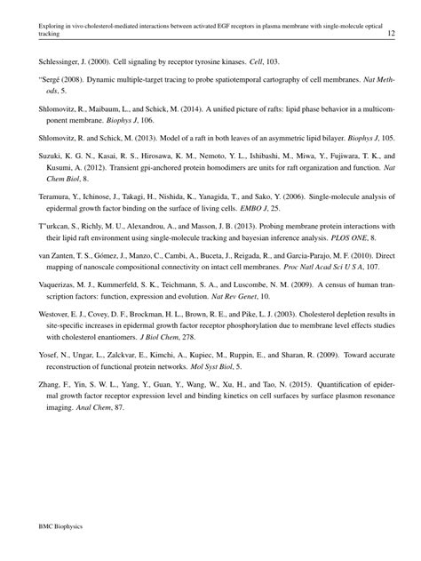 Journal Of Numerical Cognition Template Psychopen