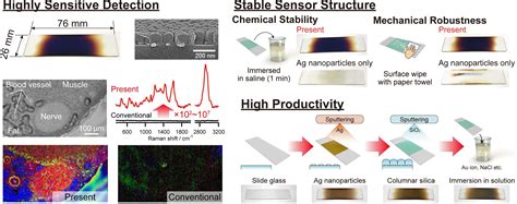 Biomedical Imaging Breakthrough Silver Nanoislands Amplify Signals