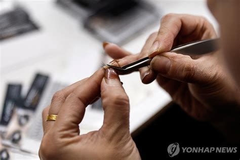 北 인조속눈썹 중국산으로 둔갑해 서방·한·일로 수출 나무뉴스