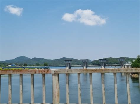 상주 의성 낙단보 차박과율정호 수상레저 네이버 블로그