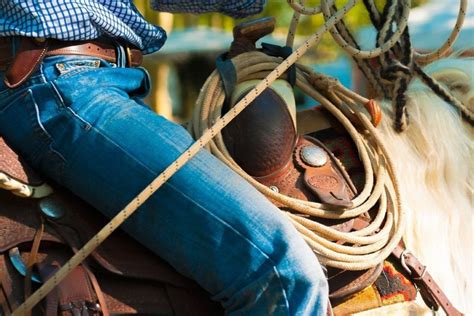 Lasso Dream Meaning Idream Dream Dictionary