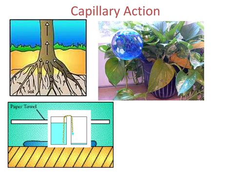 Intermolecular Forces Ppt Download