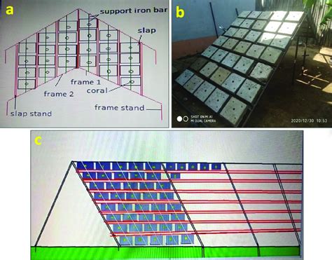Design Of The Artificial Substrate Used For Coral Transplantation In Download Scientific