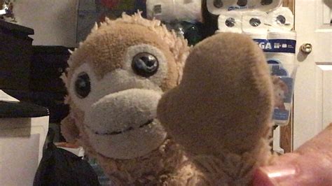 Monkey Model Monkeymodels Profile Pinterest