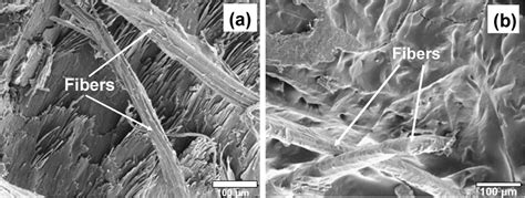 Sem Micrographs Of Impact Fracture Surfaces Of The Plapalfsi 60 Download Scientific Diagram