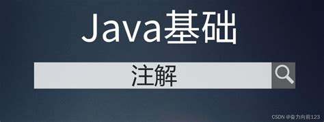 Java注解原理和解析java注解如何被解析的 Csdn博客
