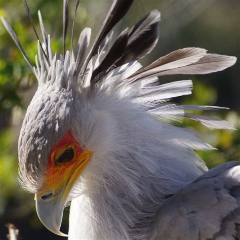 James Staples Youtube