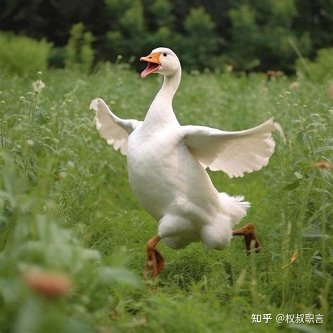 如何删除 Macos 的启动台（launchpad） Pwa 图标 知乎