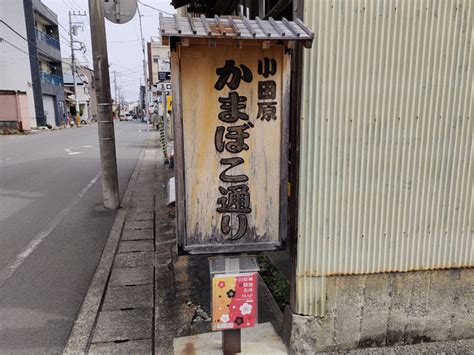 荒久の灯台の様子（小田原市）釣り情報 神奈川goの釣り情報