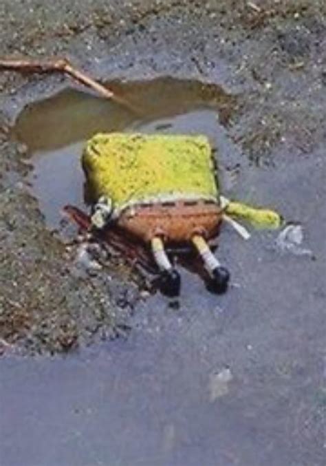 Whats The Origin Behind This Photo R Spongebob