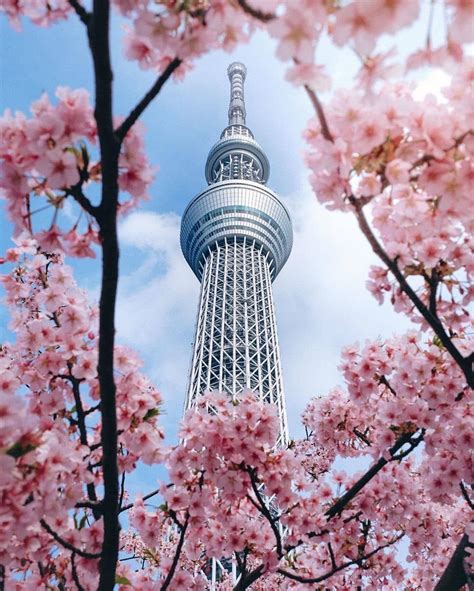 Visit Japan Tokyo Skytree Is Not Only The Tallest Tower In Japan It S