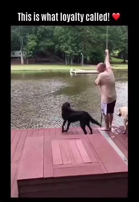 Bhavya Arora On Linkedin Loyalty Is The Foundation Of Lasting Relationships—whether In Business