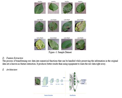 Implementation Of Deep Learning For Image Based Potato Leaf Disease