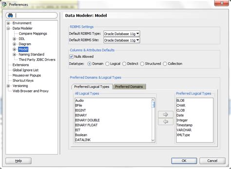 SQL Developer Data Modeler Quick Tip Preferred Data Types
