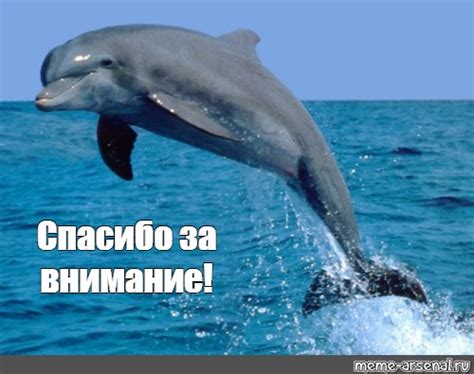 Meme: "Спасибо за внимание!" - All Templates - Meme-arsenal.com