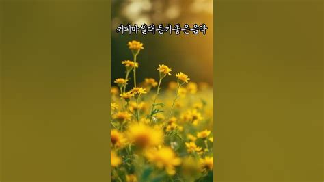 커피 마시면서 듣기 좋은 음악 커피마실때듣기좋은음악 카페음악 카페음악 Music 아침음악 Youtube