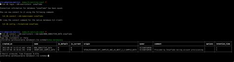 snowflake data access with teleport database access