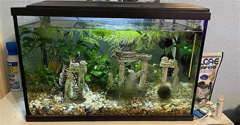 Tank Album On Imgur