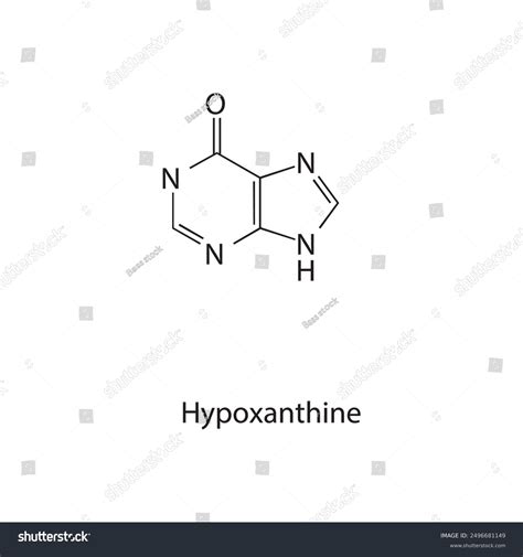 Hypoxanthine Skeletal Structure Schematic Illustration Nucleobase Stock