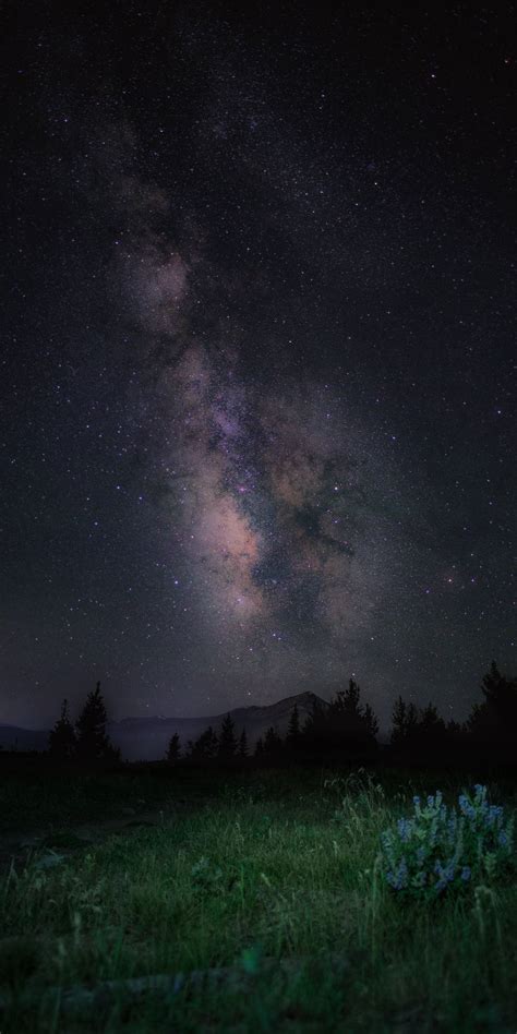 [1200 ] Milky Way Wallpapers