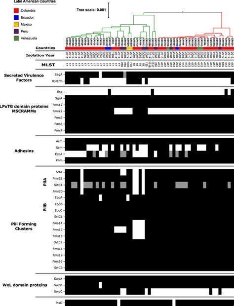 Bayesian Phylogenomic Tree From The Core Genome And Genomic