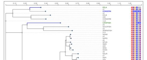 displaying text besides the node labels · issue 410 · veg phylotree js