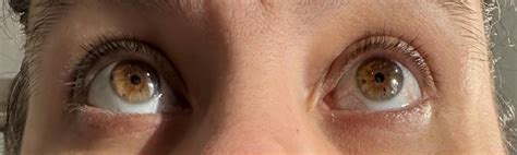 What Color Are My Eyes I Put Hazel On My Drivers License But Idk R Eyes