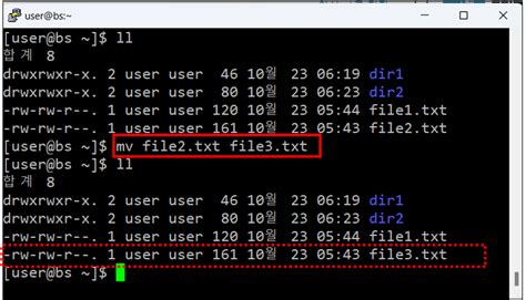 리눅스 Mv 명령어 파일과 디렉토리 이동 및 이름 변경하기