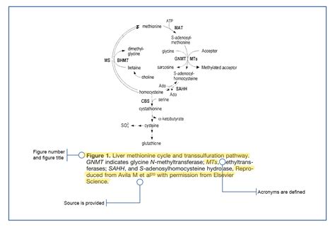 creating scientific graphs and tables displaying your data clips