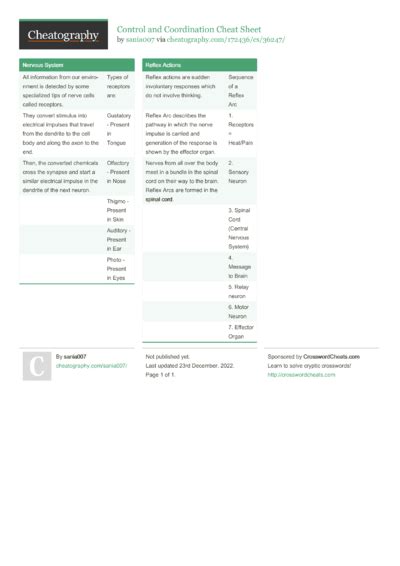 11 Brain Cheat Sheets Cheat Sheets For Every Occasion