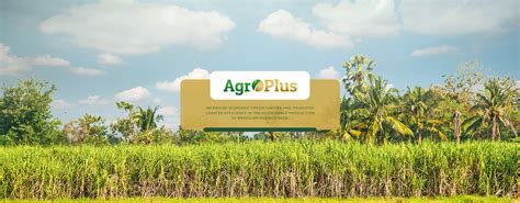 Agro Plus Brasil