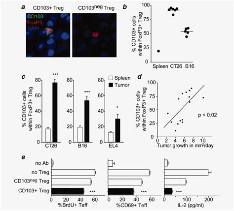 Cd103 Is A Hallmark Of Tumor‐infiltrating Regulatory T Cells Anz