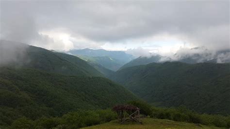 Hamgardi جنگل مشه سویی، اردبیل عکس ها از امید امیدی
