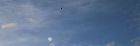 Img0180 Version 2 Lilly Mackuth