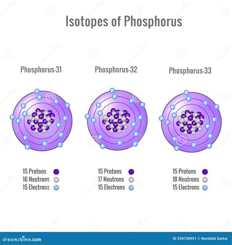 Isotopes Of Phosphorus Atom 3d Vector Illustration