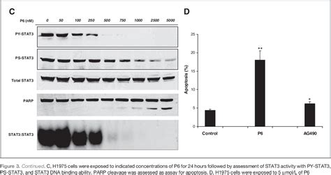 Figure 1 From Jak1 Activates Stat3 Activity In Non Small Cell Lung Cancer Cells And Il 6