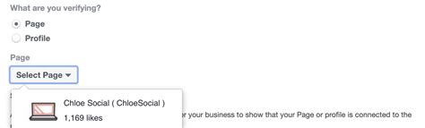 How To Get Verified On Facebook Your Step By Step Guide Amplitude Marketing