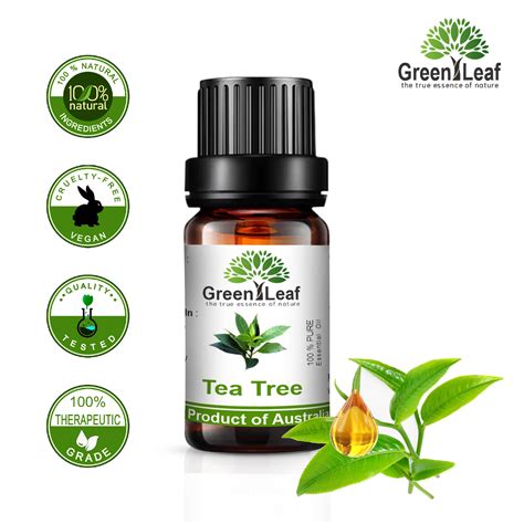 Australian Tea Tree Essential Oil Pure Powerful And Antiseptic
