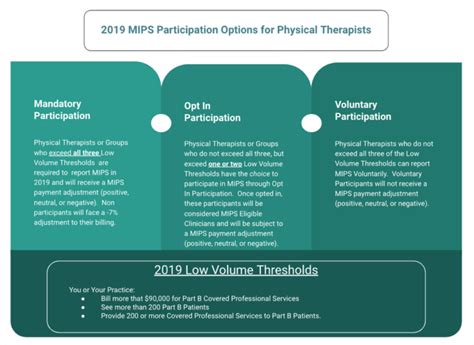 Mips Reporting Practice Perfect