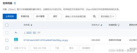 使用阿里云对象存储oss上传图片需要把上传到阿里云oss路径手动拼接出来 Csdn博客