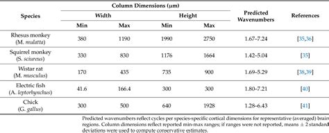 Table 1 From Self Similarity And Spatial Periodicity In Cerebral Cortical Patterning Structural