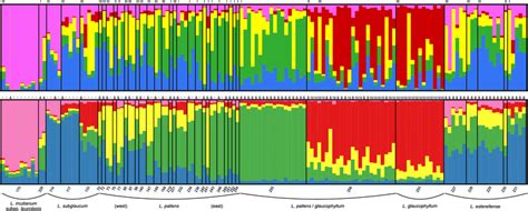 results of a fuzzy c means clustering above and a bayesian cluster