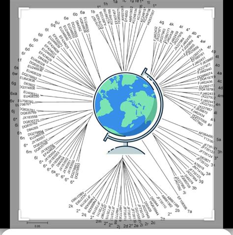 Miriam Piazza On Linkedin The Branches Of The Covid Mutation Tree