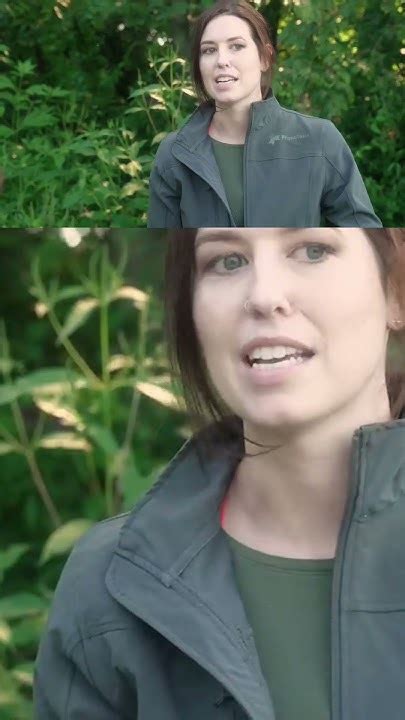 🌽 Farmers Using Microalgae To Feed Their Soil Farming Youtube