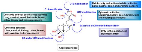 Synthetic Modifications Of Andrographolide Targeting New Potential