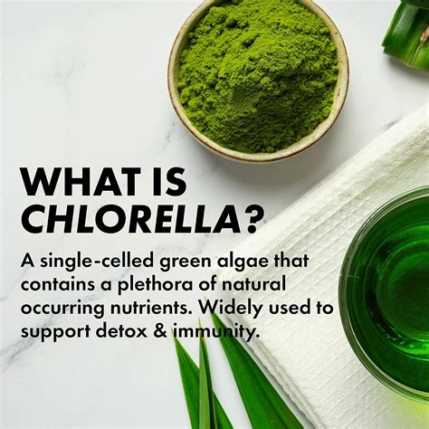 The Chlorella Company Fermented Chlorella Tablets Broken Cell Wall